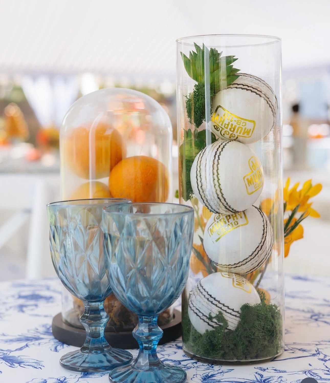 IPL Fever Meets Wedding Season: This Cricket-Themed Celebration Is a ...