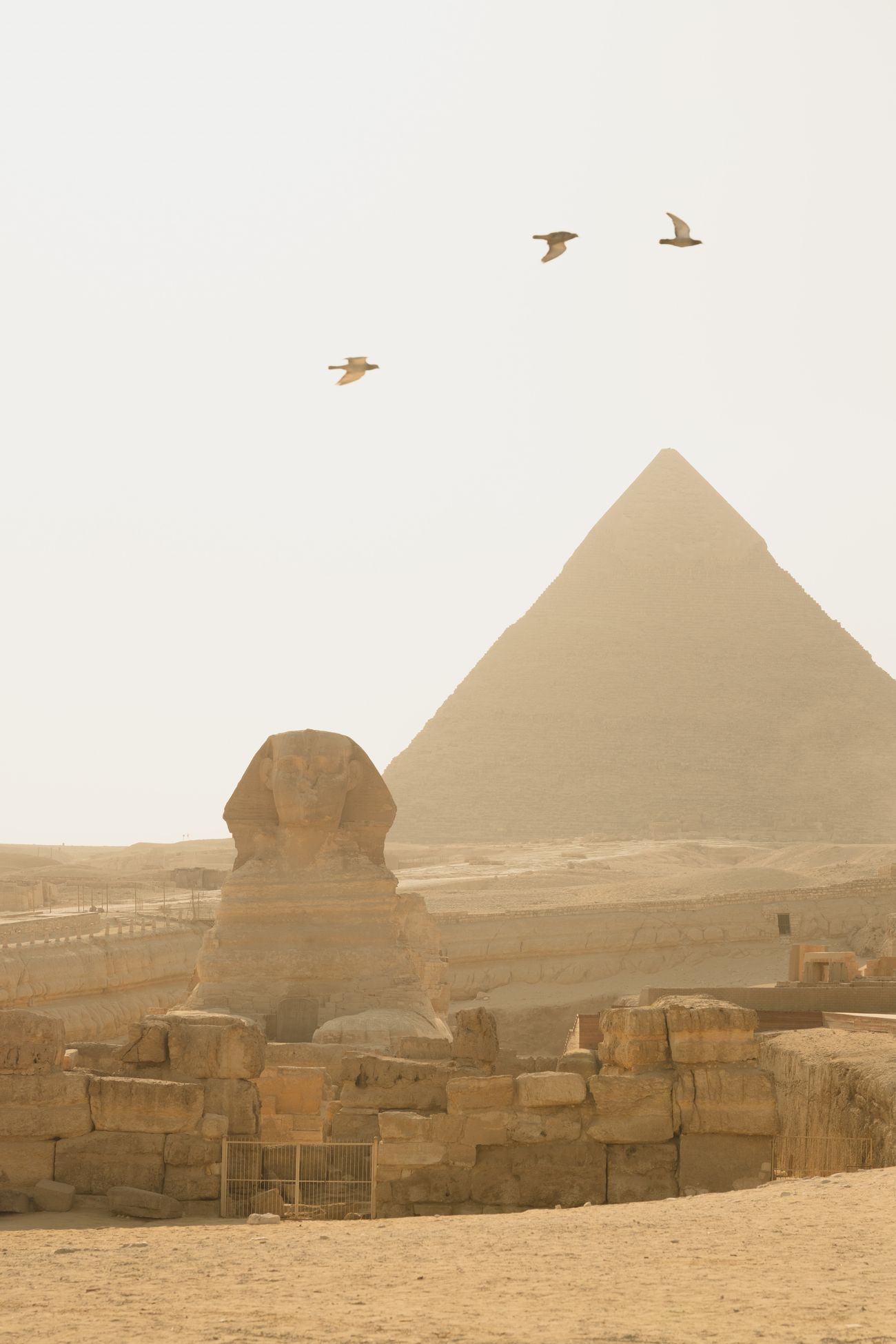 This Indian Wedding Took Over The Pyramids Of Giza! | WedMeGood
