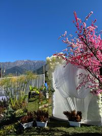 Reviews for Namdul Retreat | Wedding Venues in Sikkim - Wedmegood