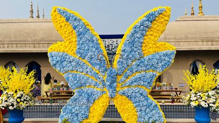 Fiestro Events - Jaipur | Price & Reviews
