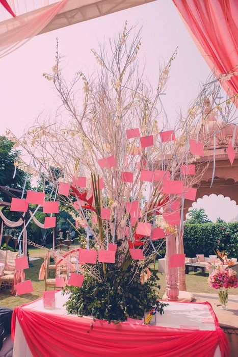 Photo of wishing tree