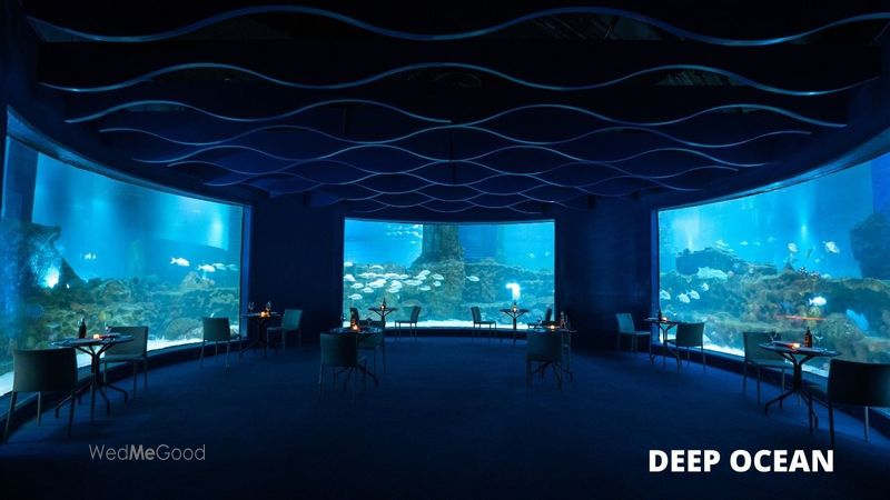 Photo By VGP Below Sea Level - Venues