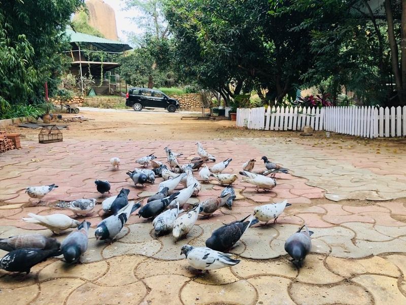 Photo By Ali Farm House - Venues