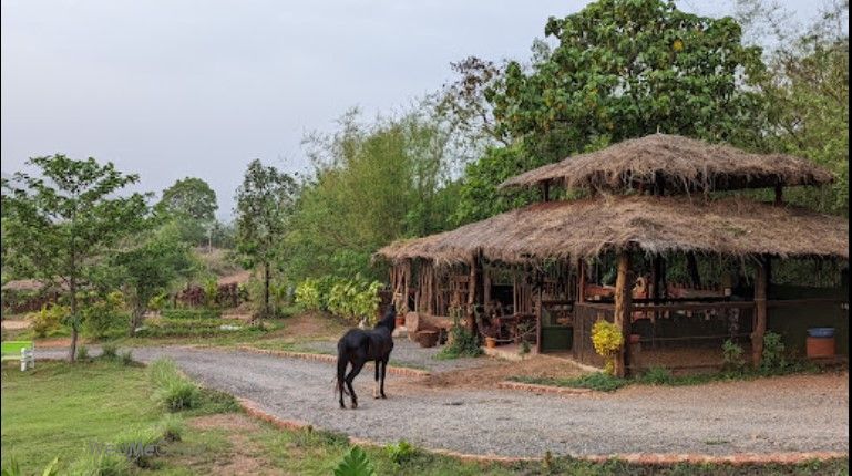 Shivaaz Farms - North Goa, Goa | Wedding Venue Cost