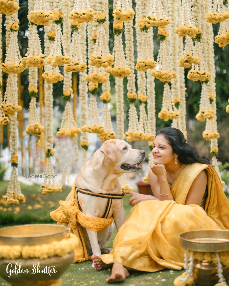 Golden Shutter - Price & Reviews | Hyderabad Photographer