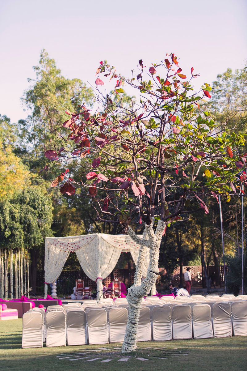 Photo of mogra flower decorated tree trunk