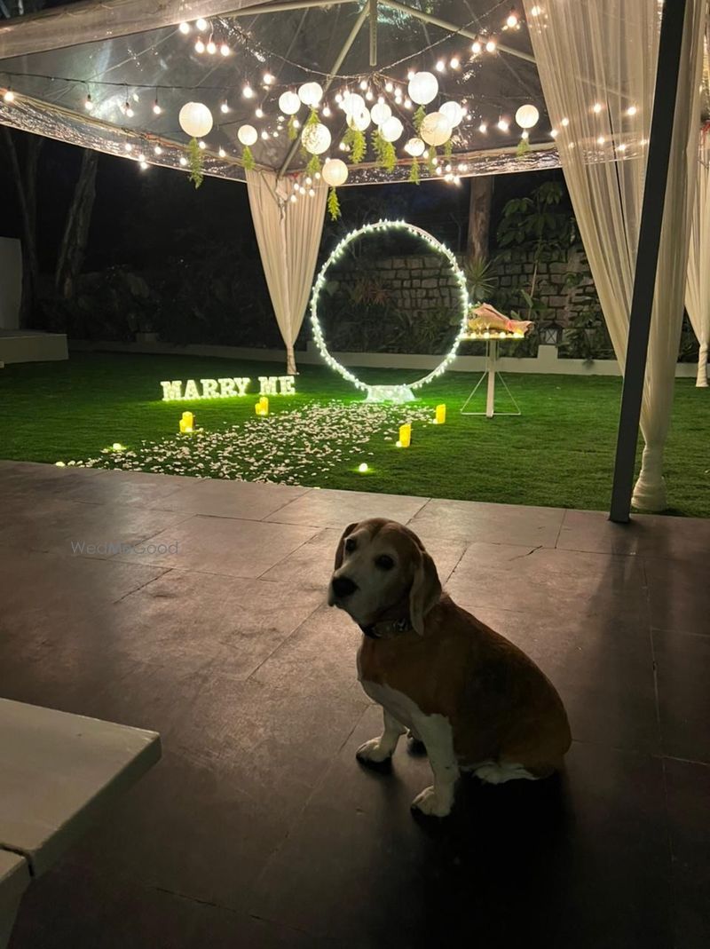 Photo From Backyard by Farmhouse Collective - By Farmhouse Collective