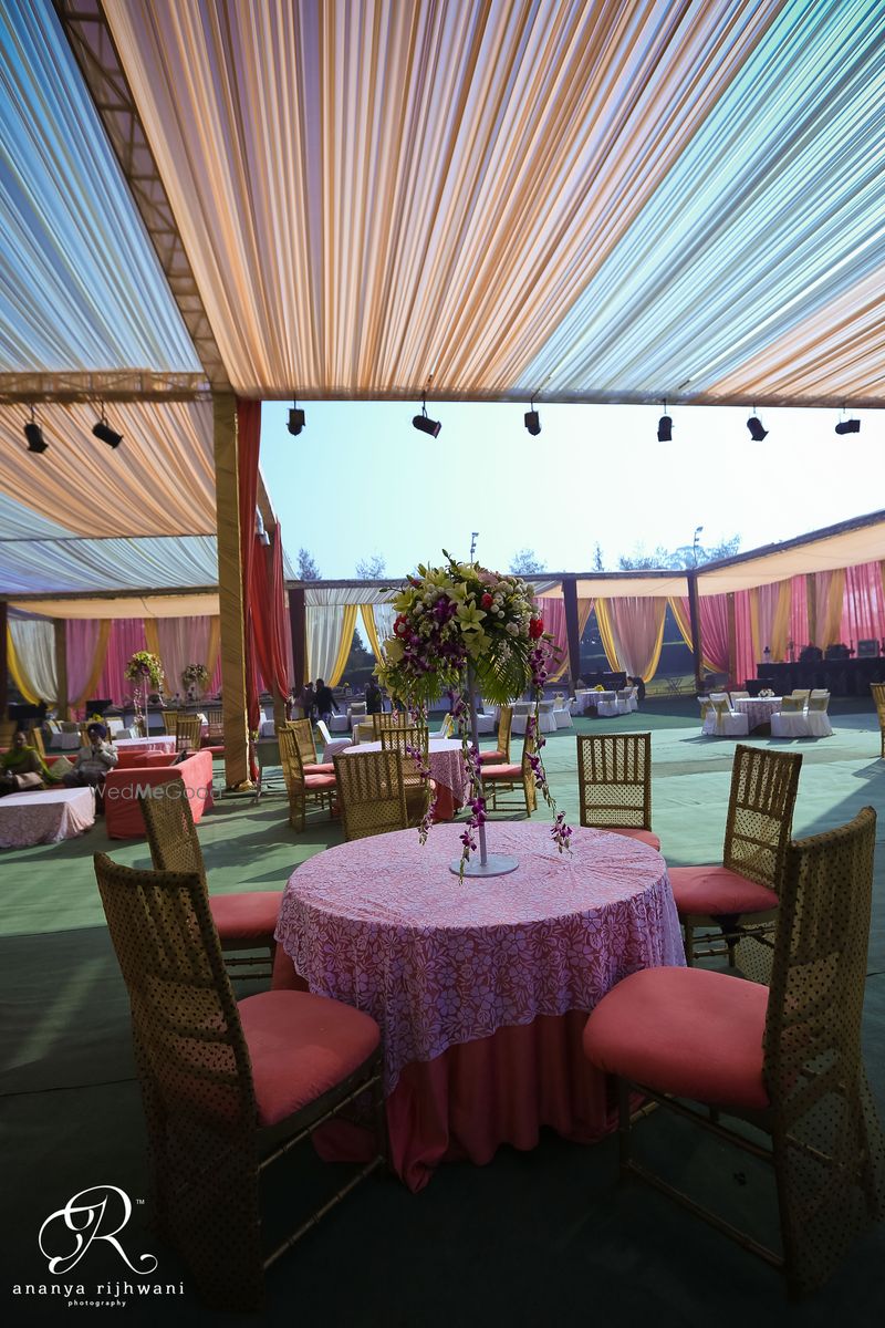 Photo of purple and apricot table decor