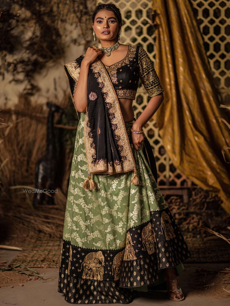 Black Pista elephant motif lehenga by Asopalav